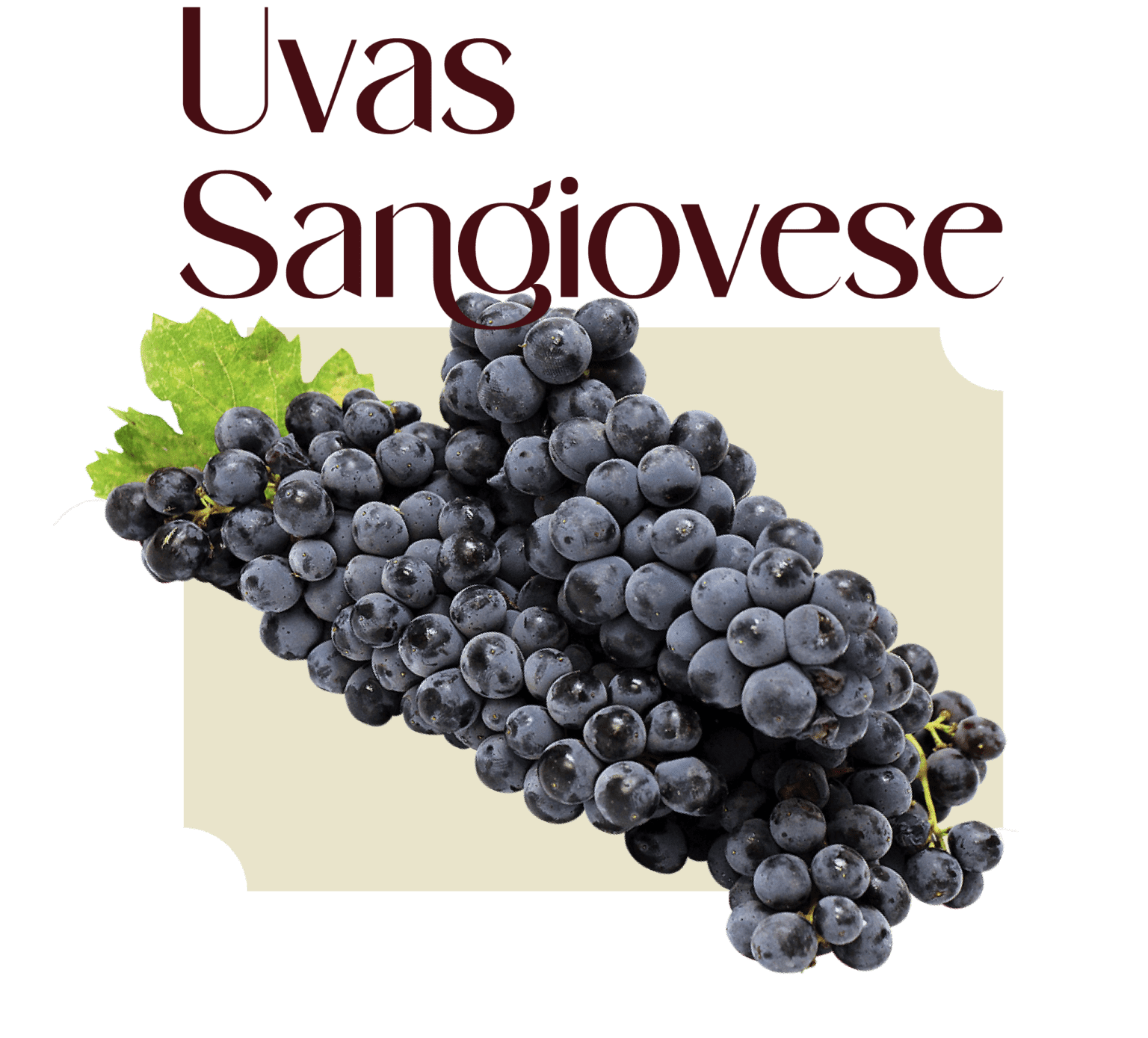 Vinho Alibea